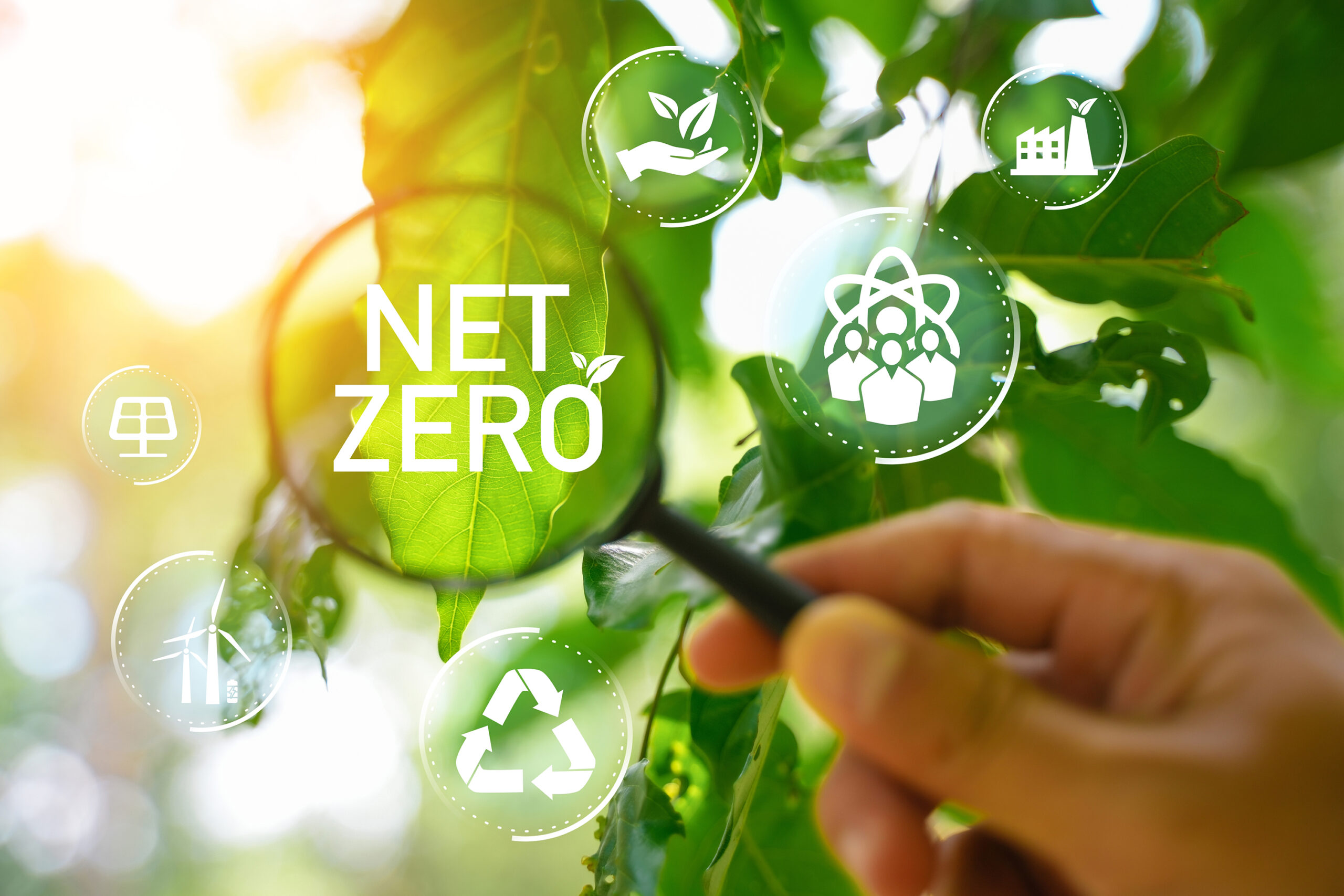 Building a better tomorrow… together: Our journey to Net Zero by 2050 ...